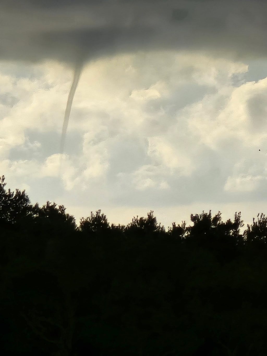 Pijavice sve učestalija pojava i zimi – Šibenik Meteo